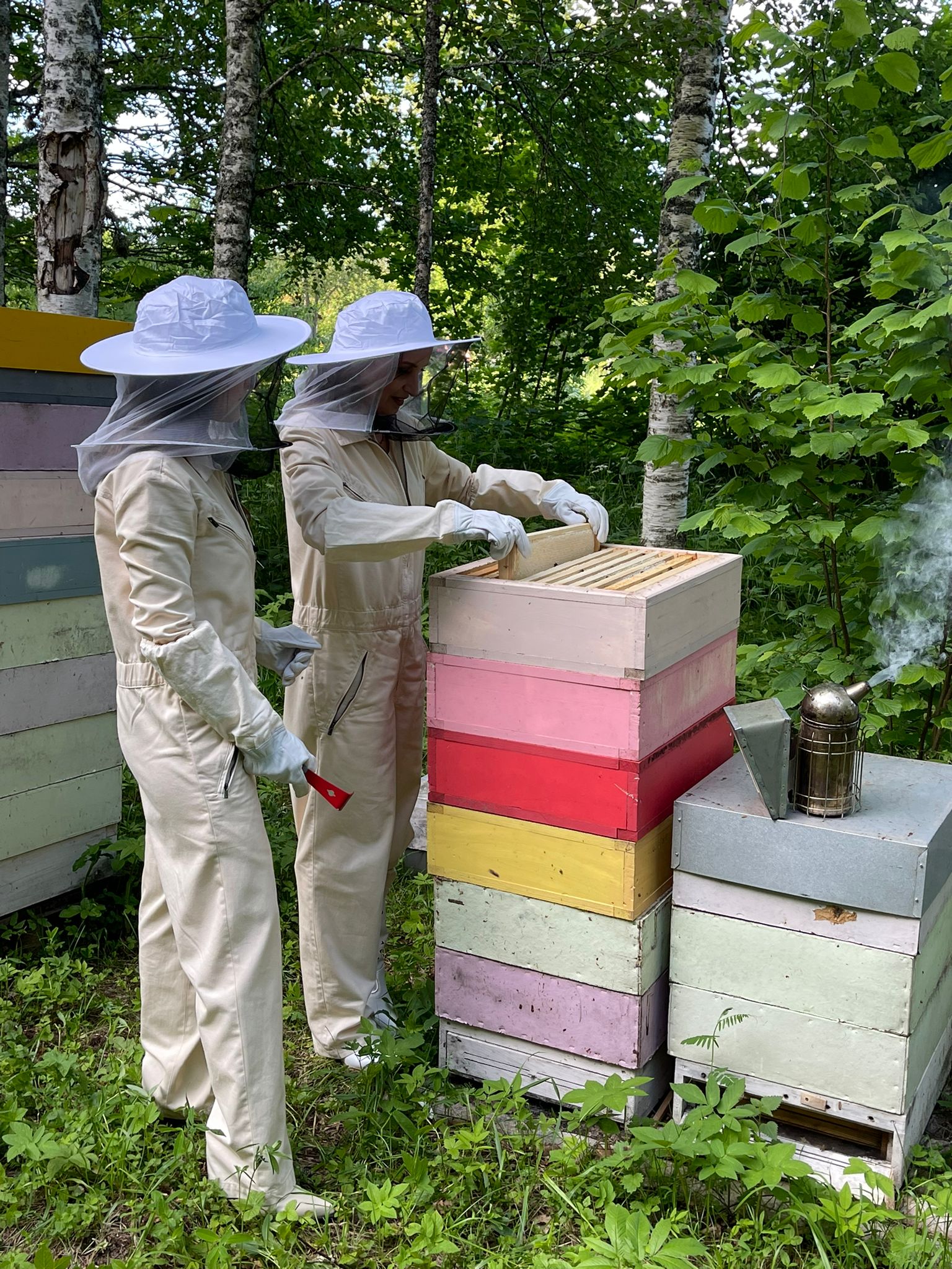 Our Approach | Kind to Bee